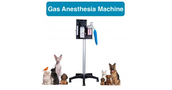 TG0507 Vet Gas Anesthesia Machine, Inhalation Anesthesia Machine